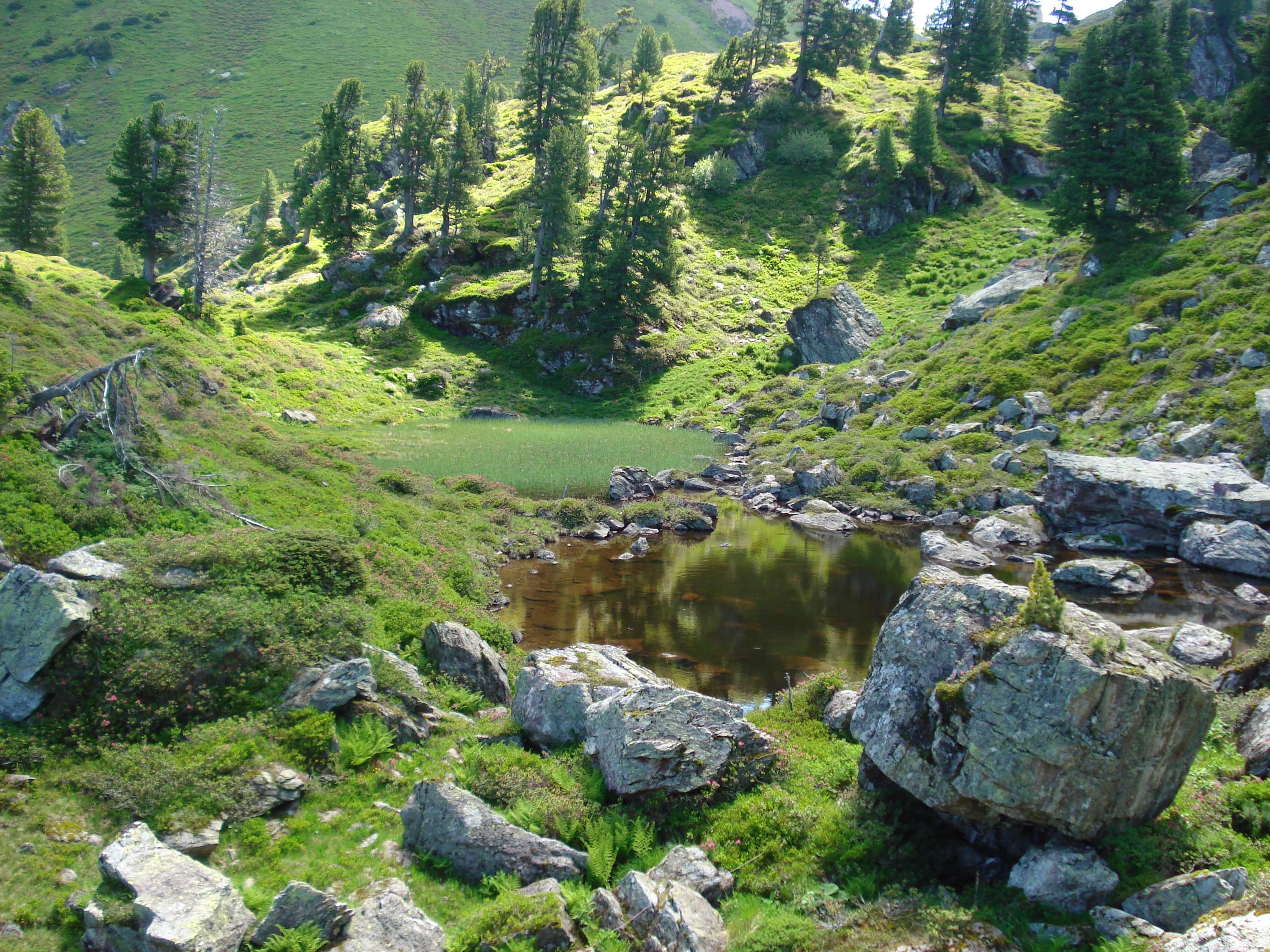 Ortsgemeinde Quarten
